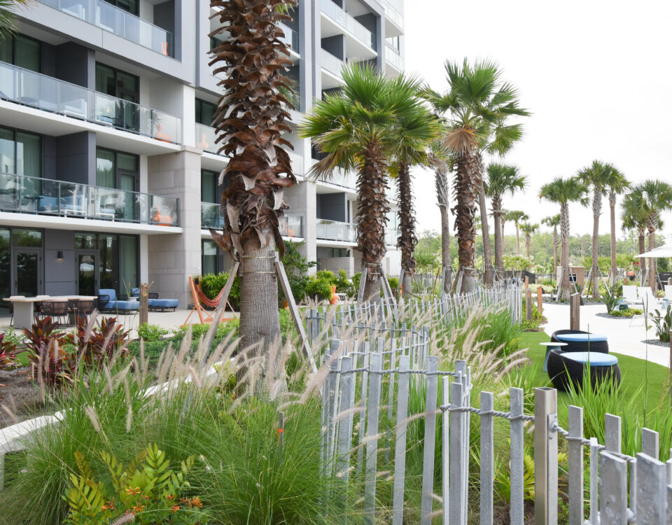 Projects - Cherrylake